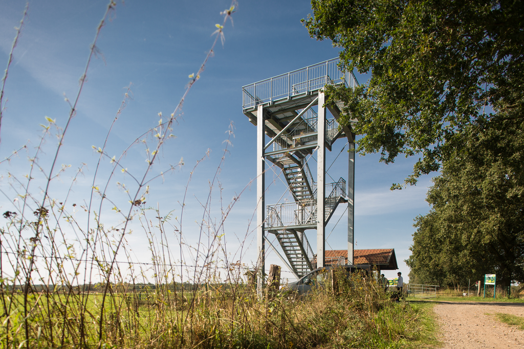 Gemeinde Vrees